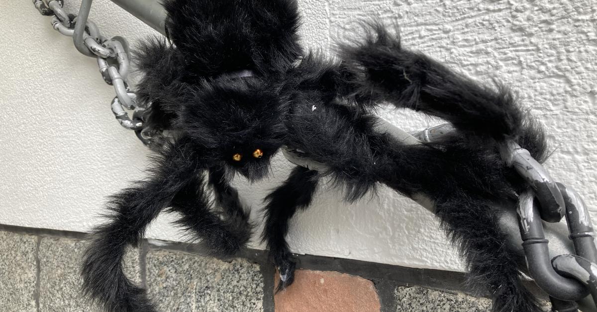 Wormel: Wer zahlt die Miete?